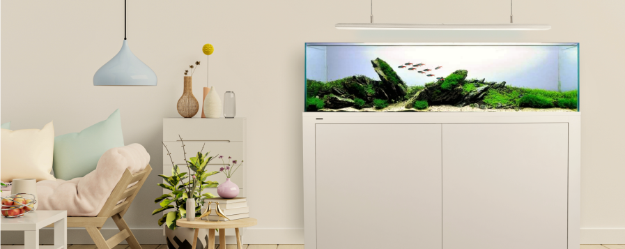 Freshwater - Giesemann Aquaristic